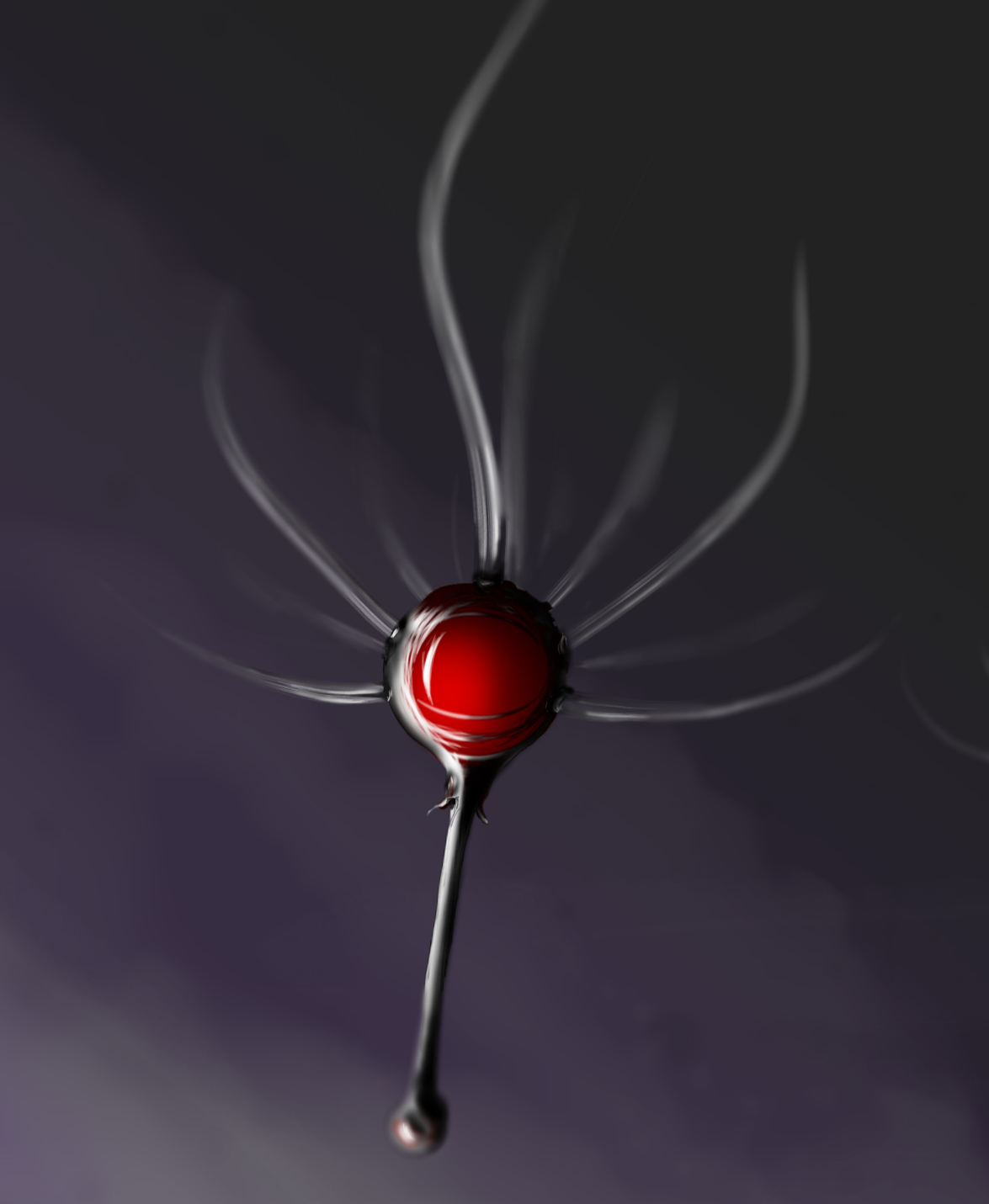 Wind Riders 2 - www.paultrandem.com